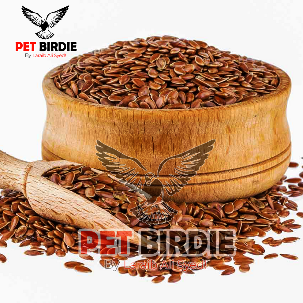 Alsee For Birds – PETBIRDIE