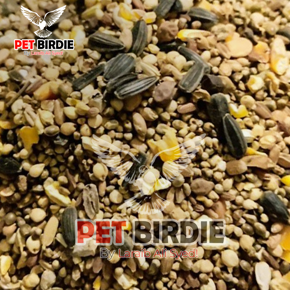 Murgi Seed Mix For Birds – PETBIRDIE