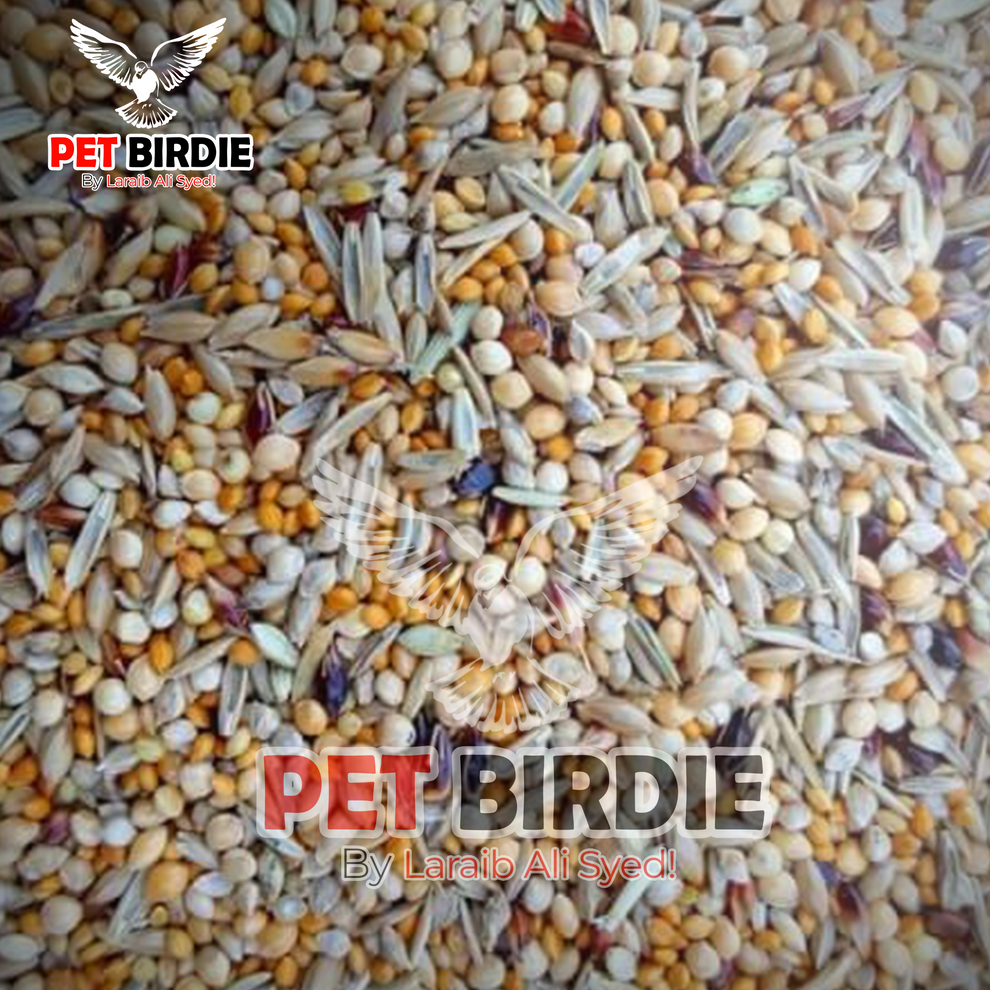 Finch Seed Mix For Birds – PETBIRDIE