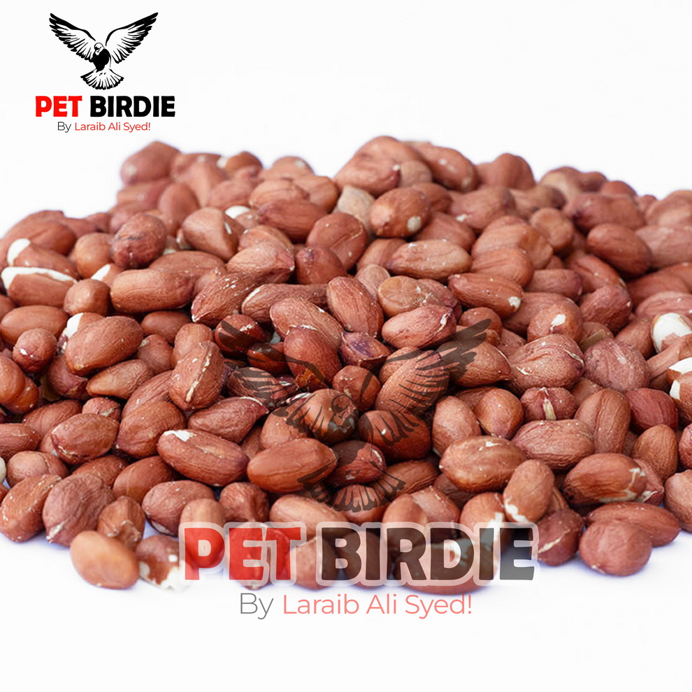 Peanuts For Birds – PETBIRDIE